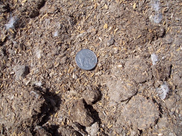 Poultry Litter - Poultry Hub Australia