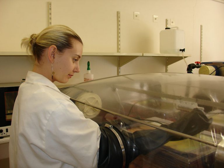 Poultry Breeding - Poultry Hub Australia