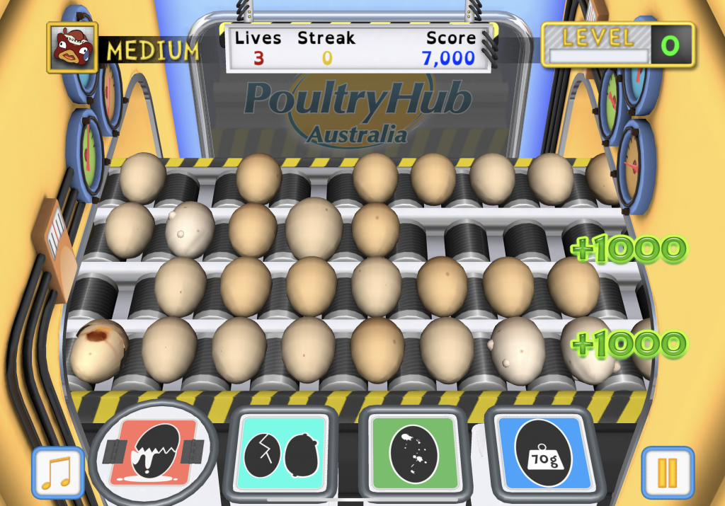 Eggit - Poultry Hub Australia