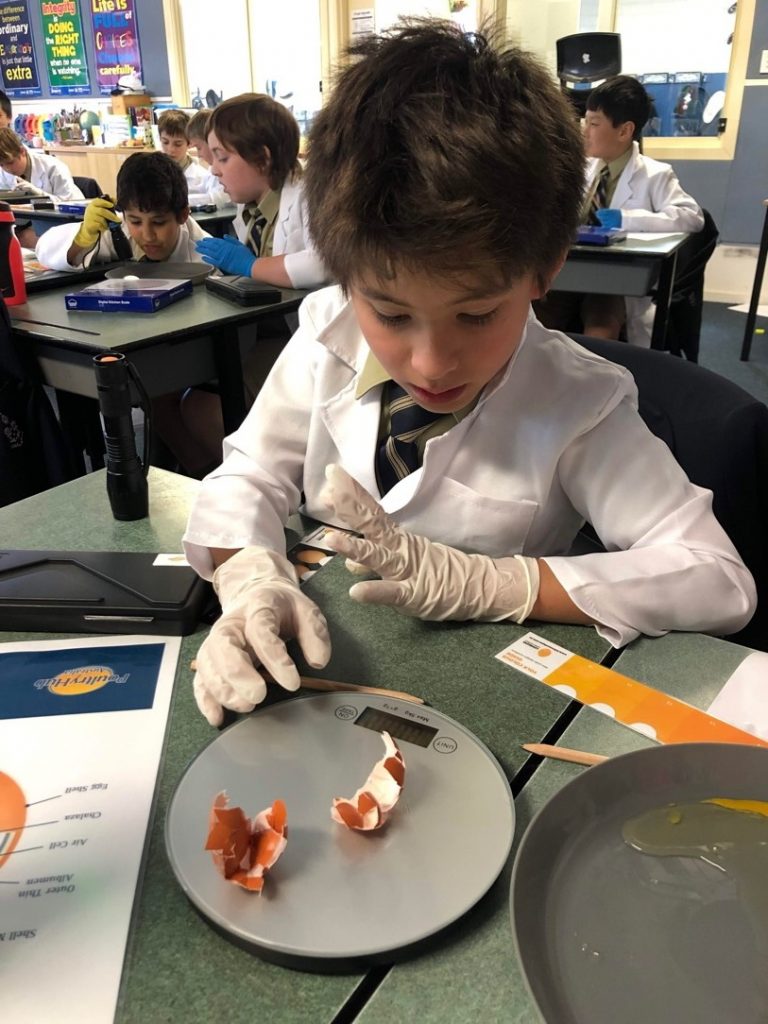 PHA Primary School Visit - Poultry Hub Australia