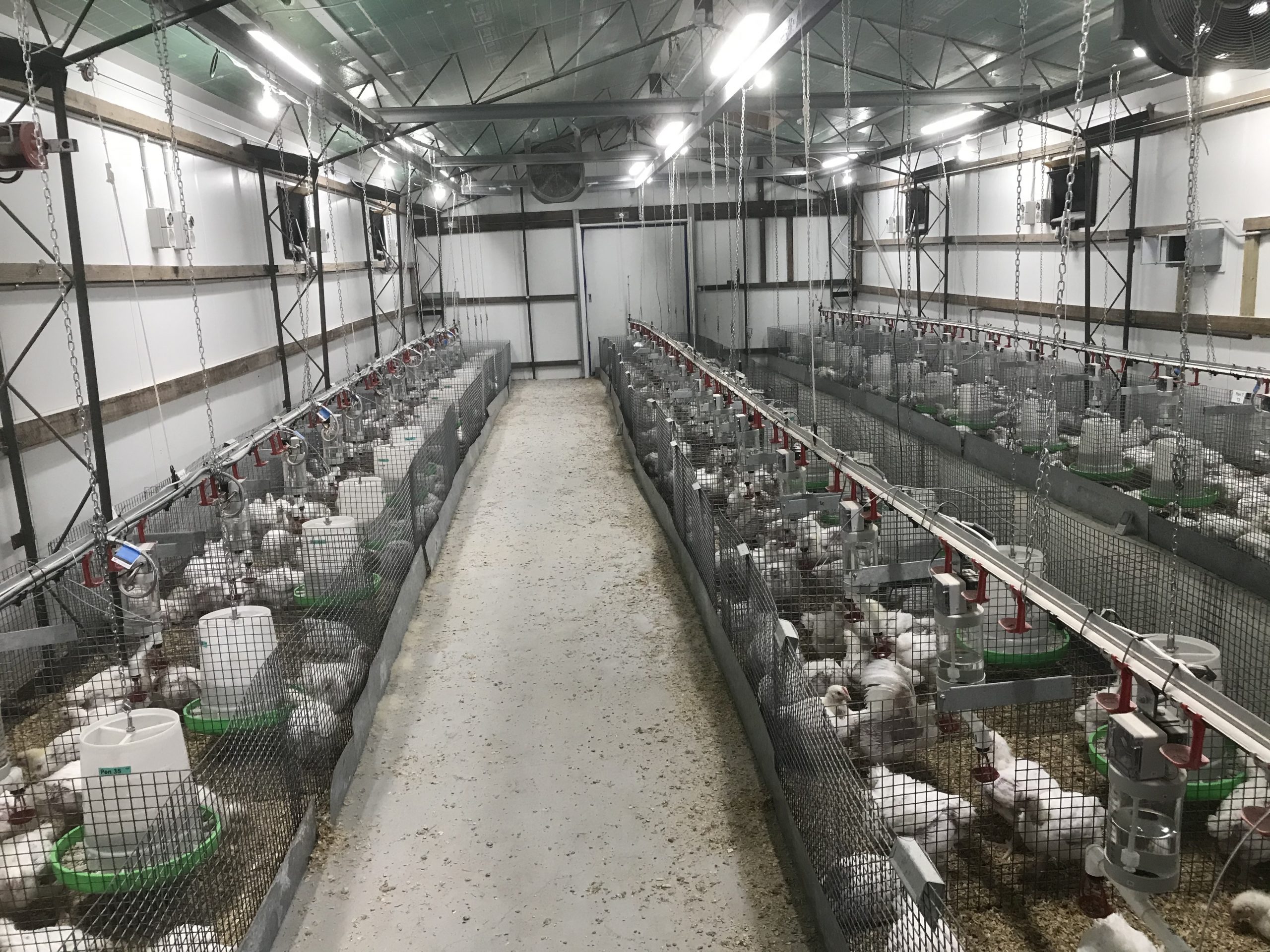 Automated water intake measurement facility for poultry at the ...