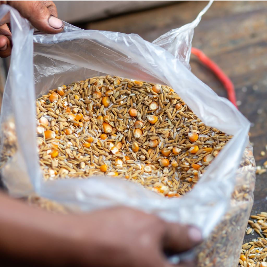 User-Friendly Feed Formulation with data from Australia (UffdAu ...