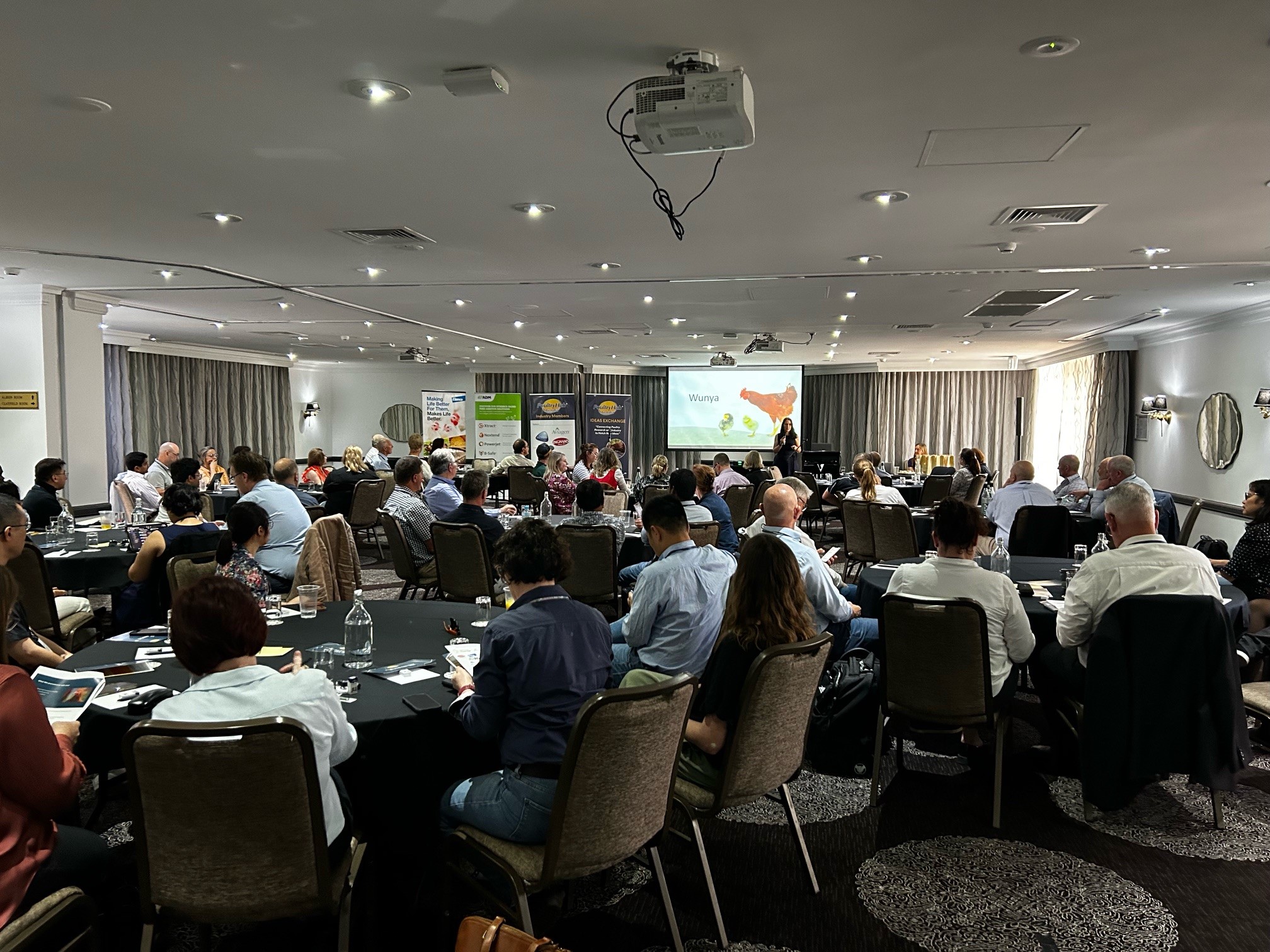 Special coverage of Ideas Exchange - Poultry Hub Australia